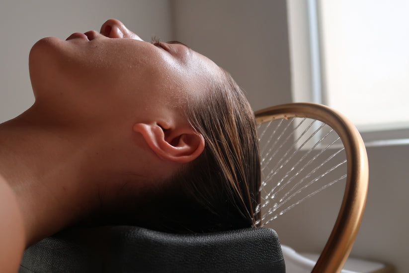 Korean Herbal Scalp Therapy: Tradition Meets Modern Science – Wellkin